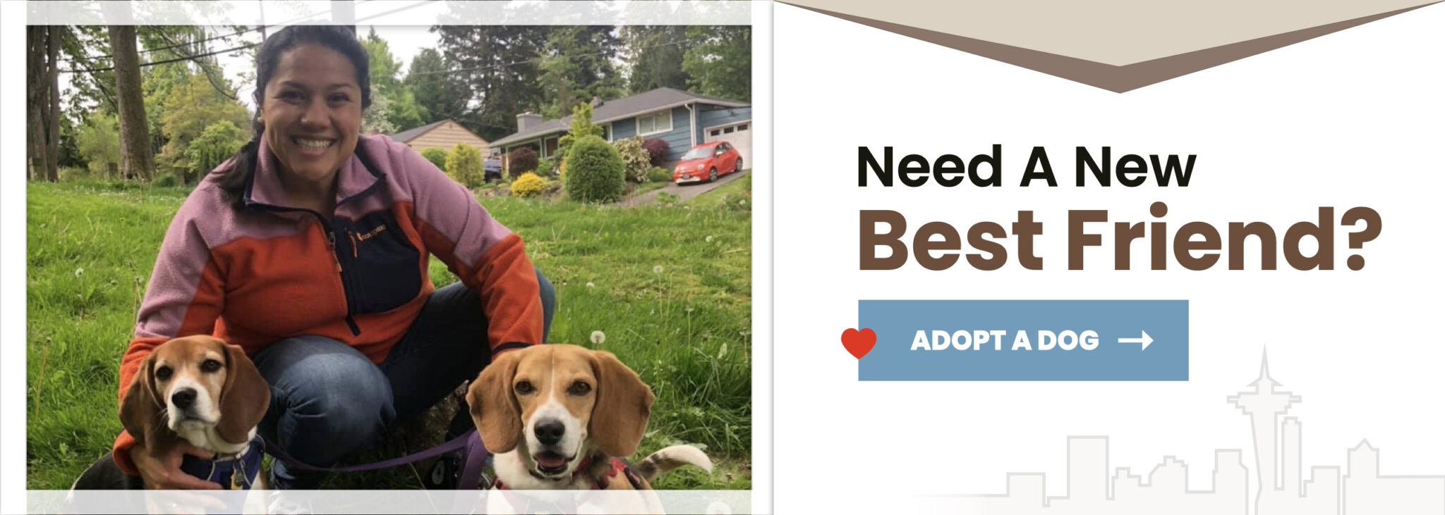 Home - Seattle Beagle Rescue